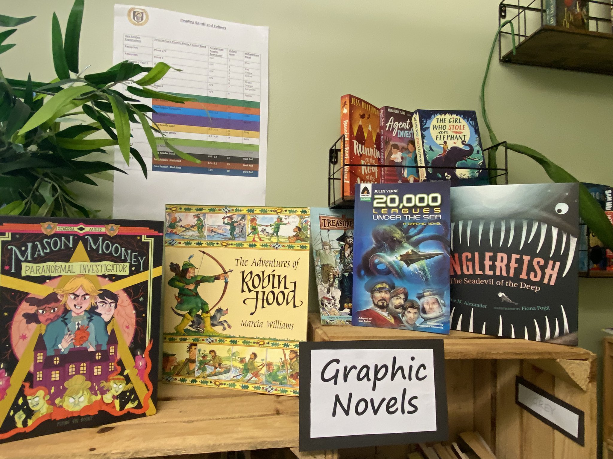 The Jungle Library | St Catherine of Siena Catholic Primary School